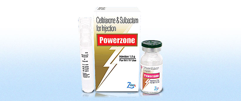 Powerzone • Zifam Myanmar