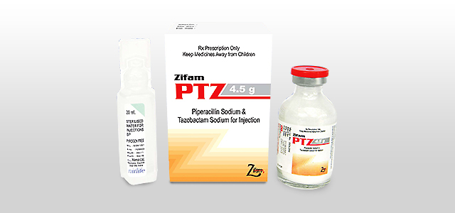 ptz • Zifam Myanmar