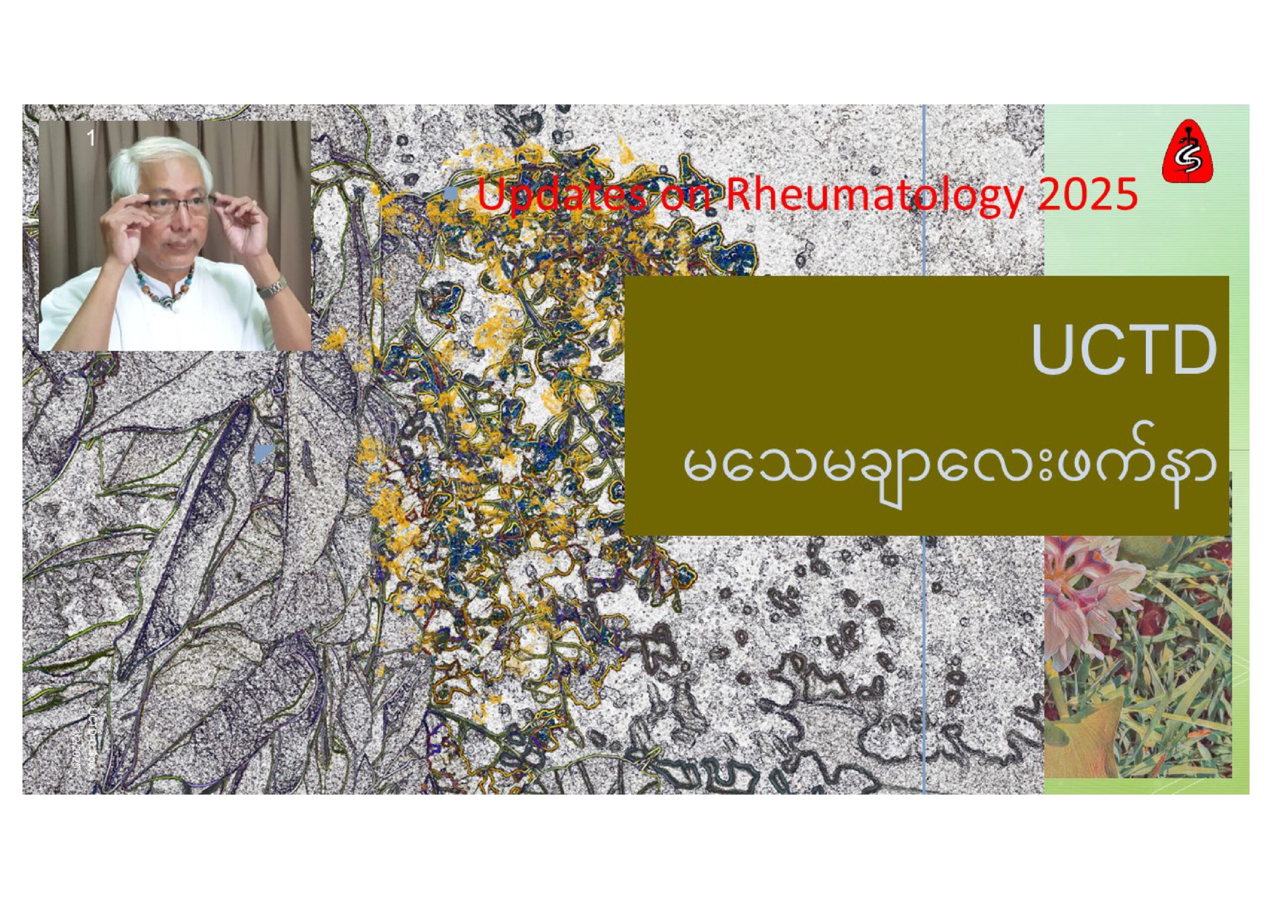 Prof. Chit Soe-images-0 • Zifam Myanmar